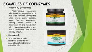 Co-Enzyme and their Role in Regulation in Metabolic Process Presented ...