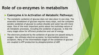 Co-Enzyme and their Role in Regulation in Metabolic Process Presented ...