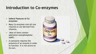 Co-Enzyme and their Role in Regulation in Metabolic Process Presented By Waqas SIddiqe | PPTX