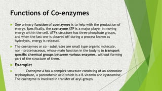 Co-Enzyme and their Role in Regulation in Metabolic Process Presented ...