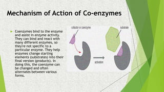 Co-Enzyme and their Role in Regulation in Metabolic Process Presented ...