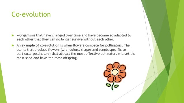 Coevolution Examples In Plants