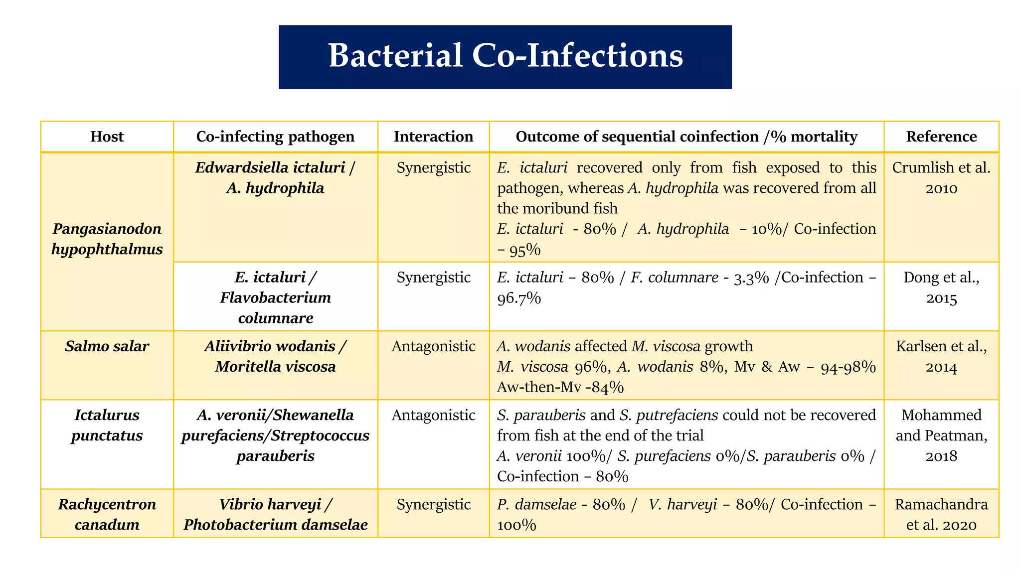 Co-infection in cultured fish.pptx