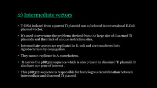 Co integrated vector | PPTX