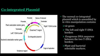 Co integrated vector | PPTX