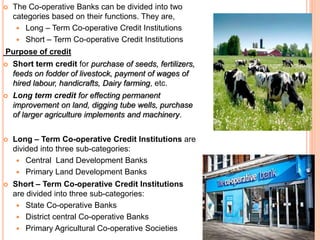 Co operative bank in India | PPT