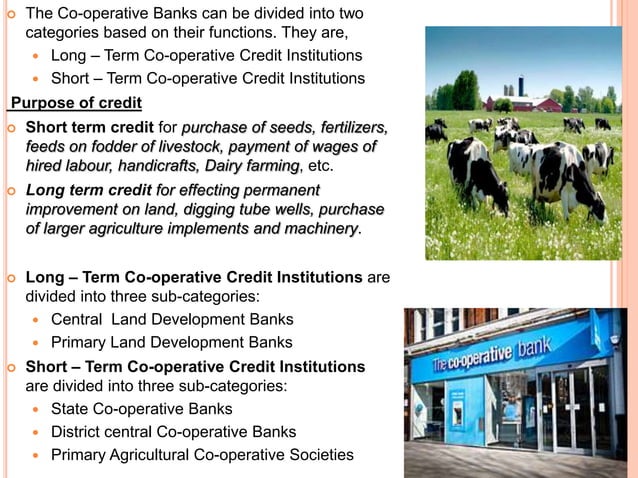 Co operative bank in India | PPTX | Business Banking & Finance | Business
