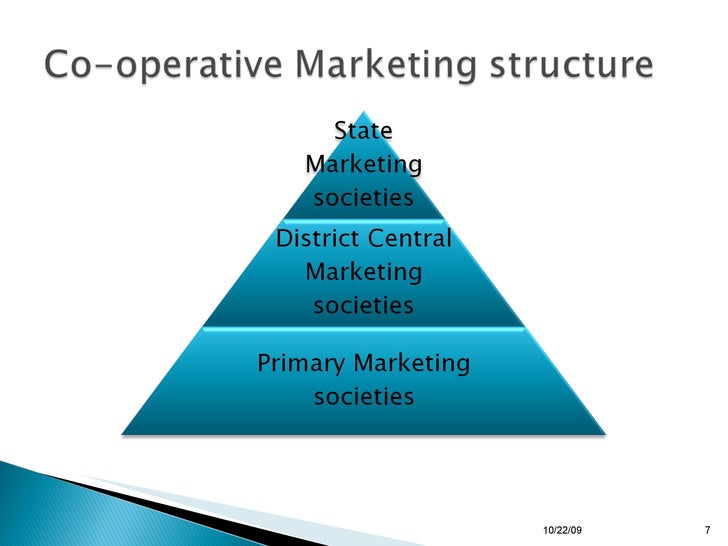 Co Operative Marketing