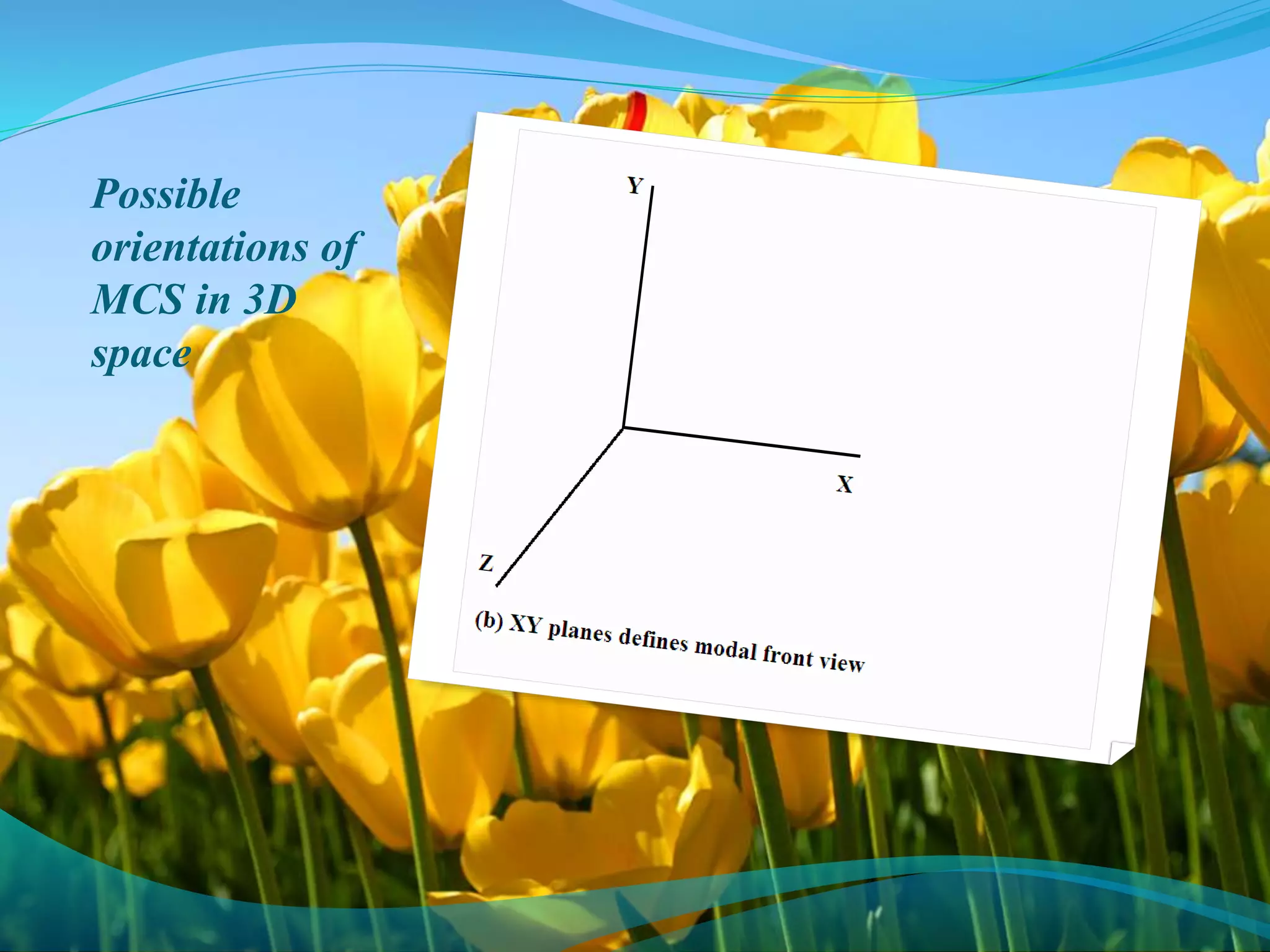 CO-ORDINATE SYSTEMS (2).pptx