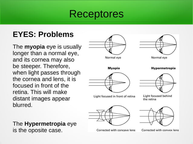 Human Receptors | PPT