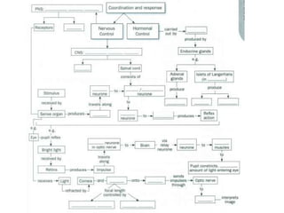 IGCSE BIO Co-ordination-and-response.pptx