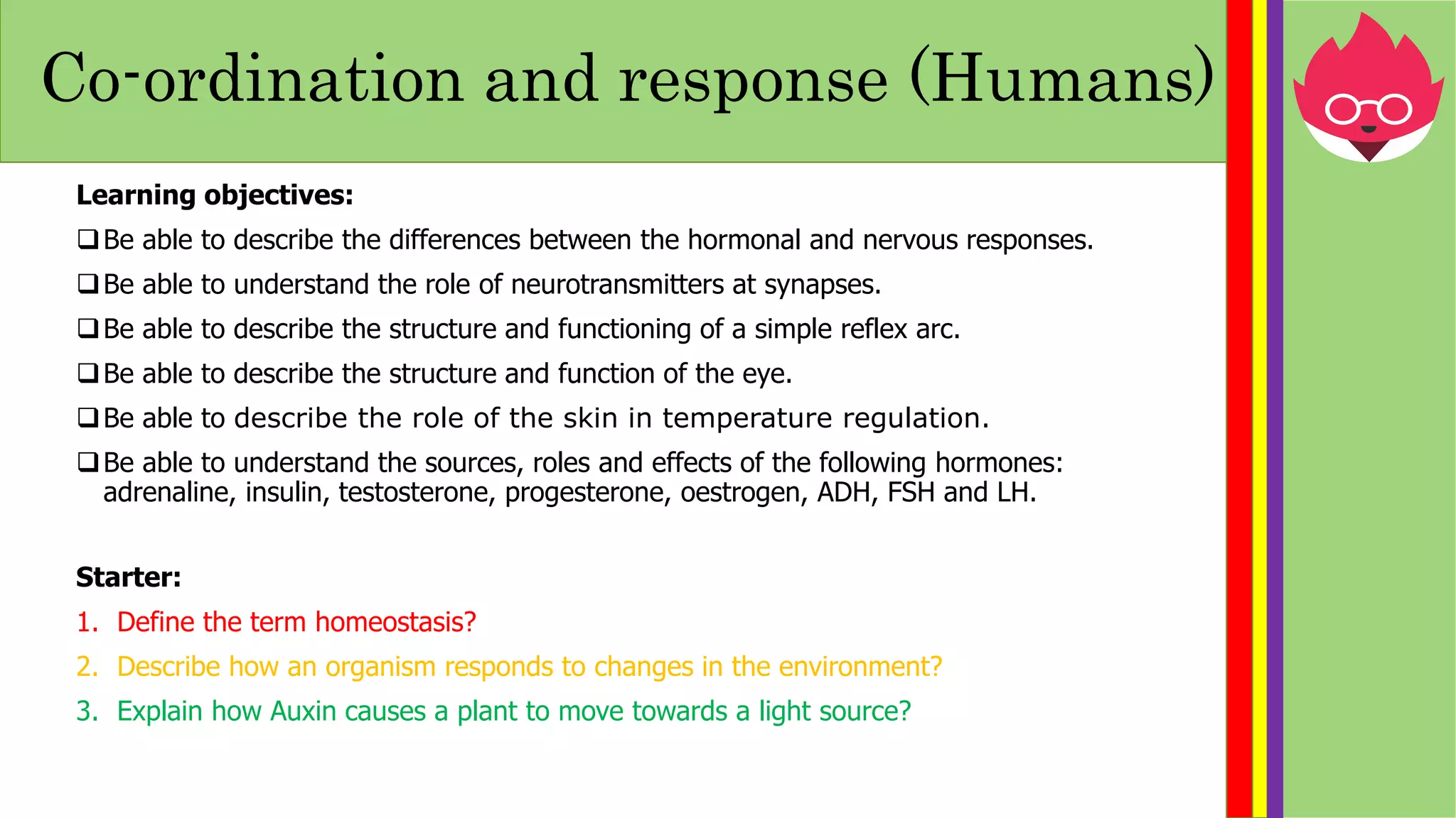 IGCSE Biology Edexcel (9-1)- Co-ordination and response (humans) | PPTX
