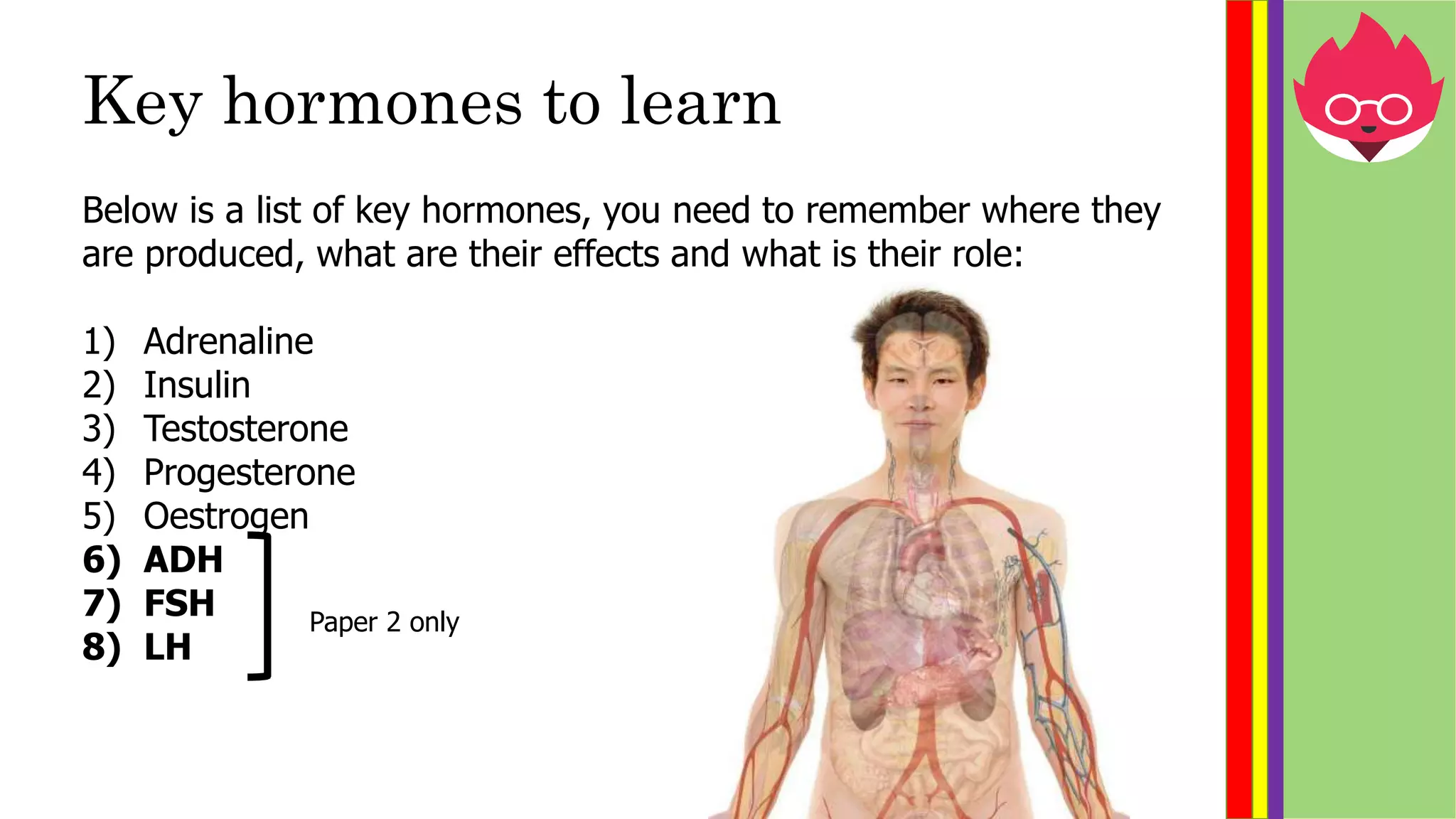 IGCSE Biology Edexcel (9-1)- Co-ordination and response (humans) | PPTX