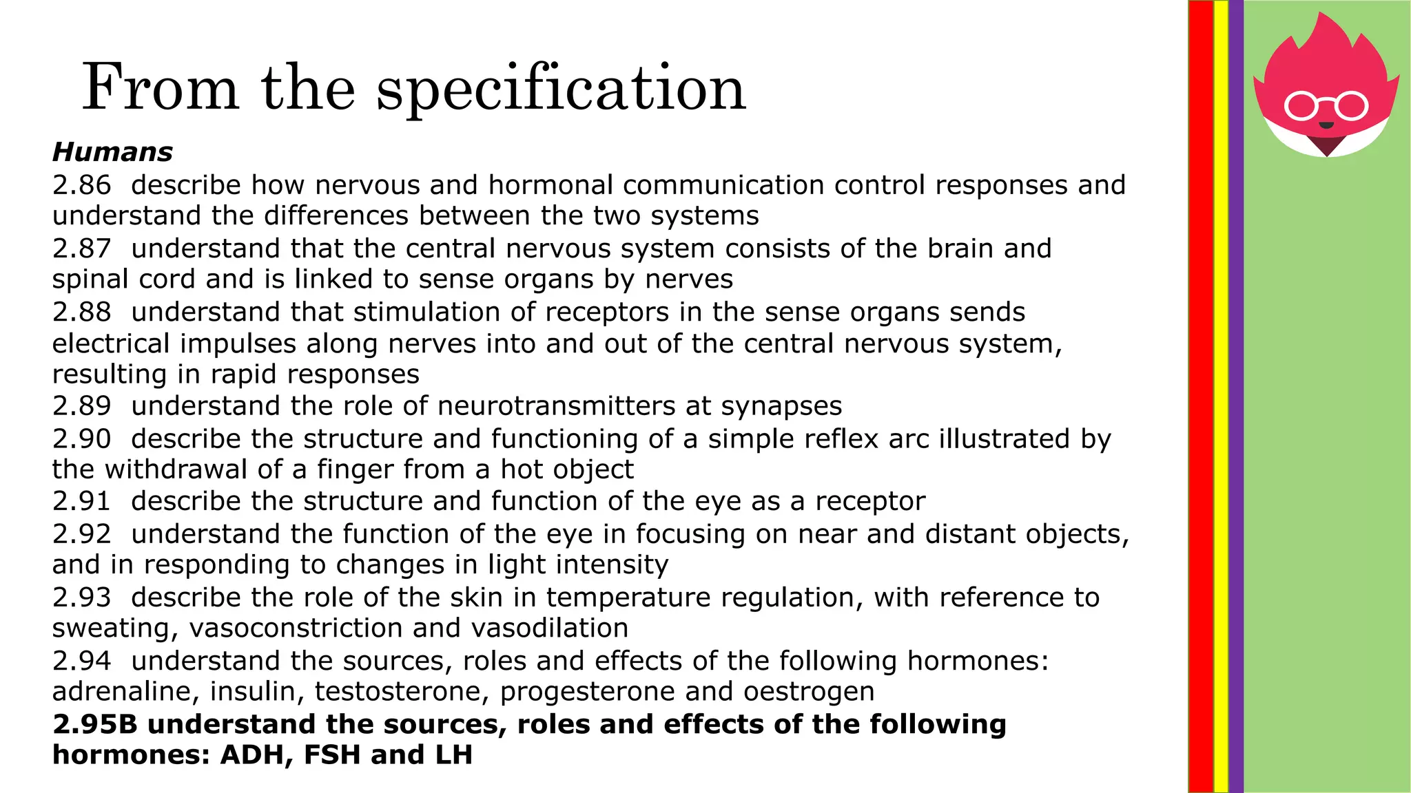 IGCSE Biology Edexcel (9-1)- Co-ordination and response (humans) | PPTX