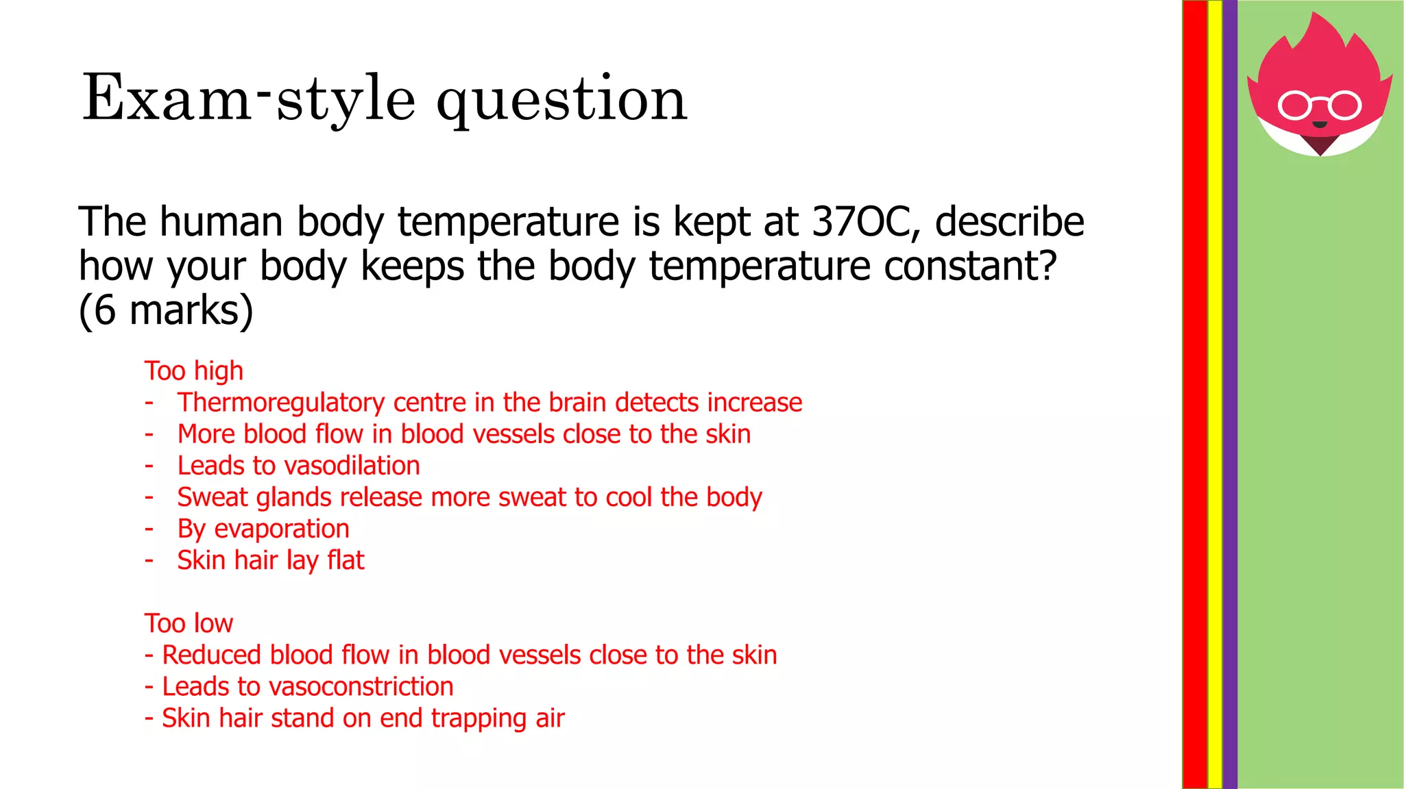 IGCSE Biology Edexcel (9-1)- Co-ordination and response (humans) | PPTX