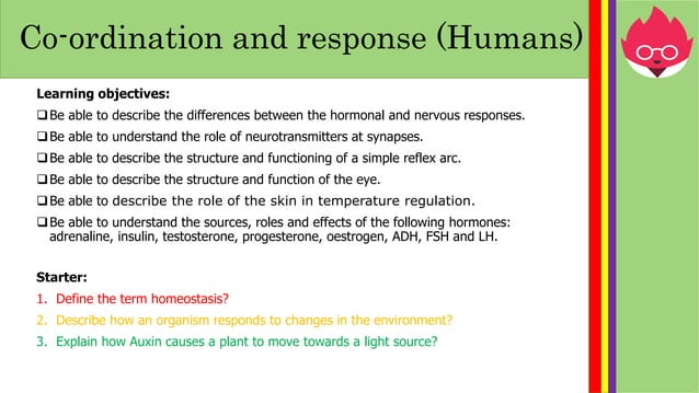 IGCSE Biology Edexcel (9-1)- Co-ordination and response (humans) | PPTX ...