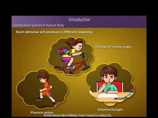 Co ordination exercise | PPTX