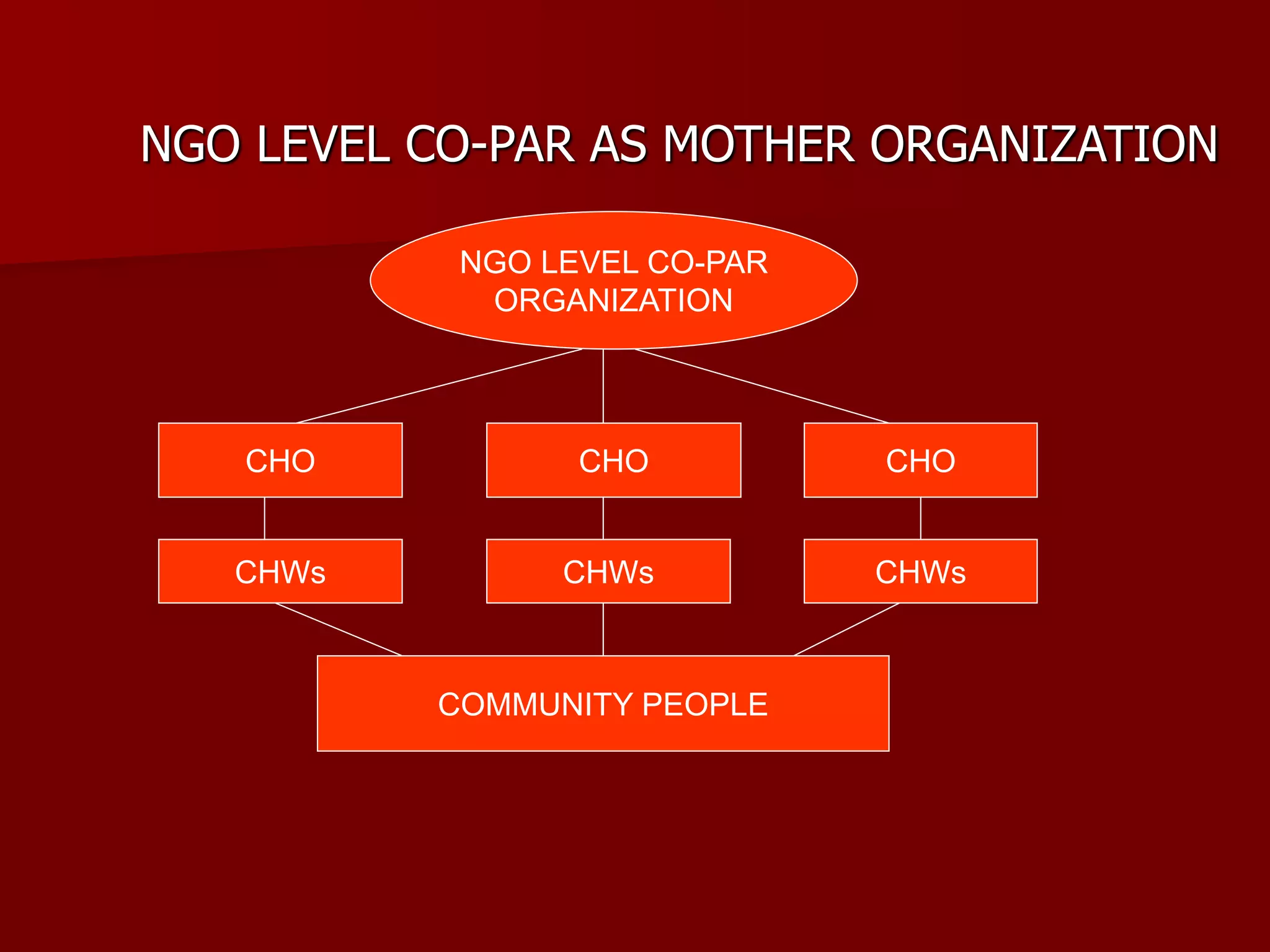 COMMUNITY ORGANIZING-PARTICIPATORY ACTION RESEARCH ORGANIZATIONAL CHART ...