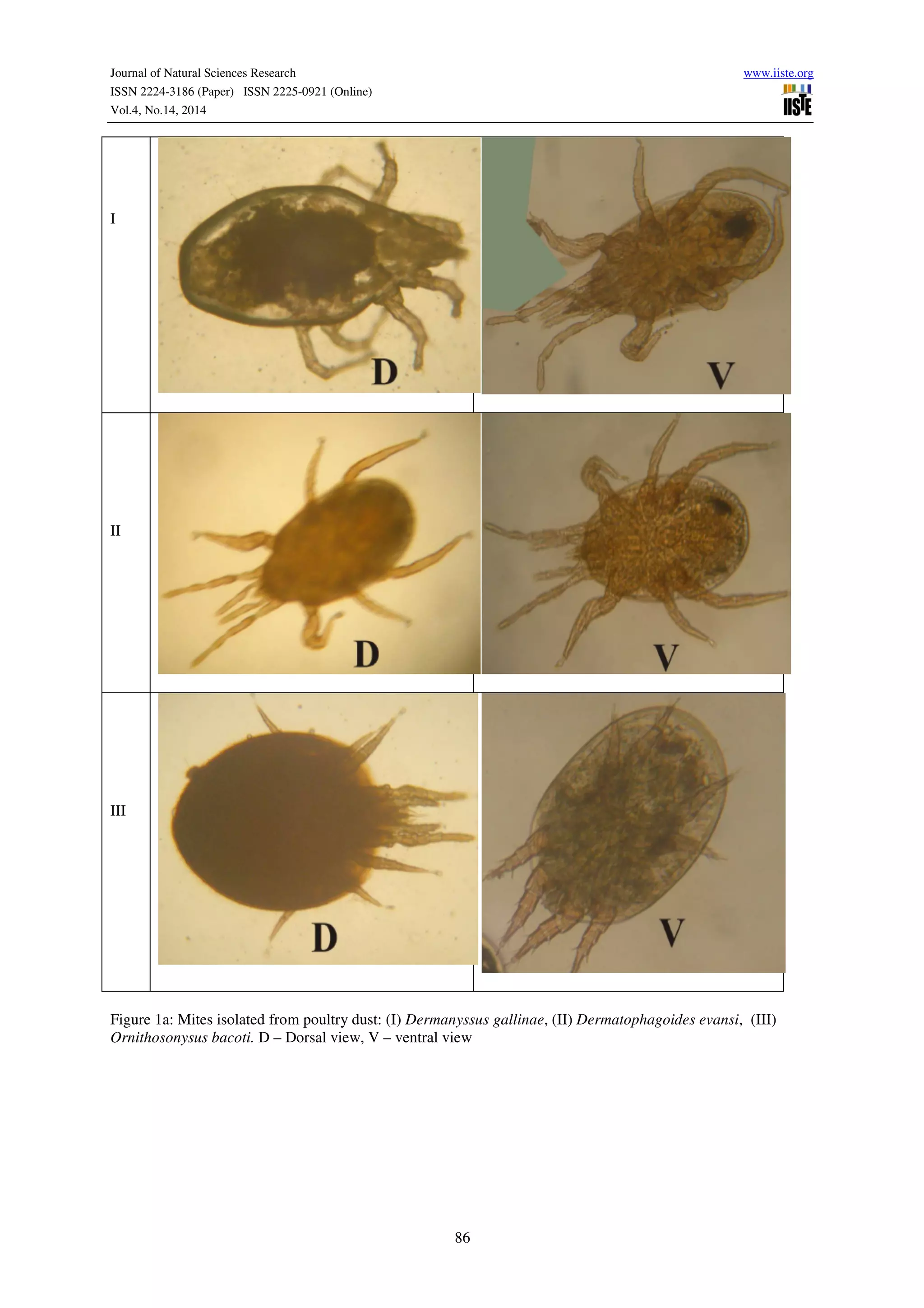 Co prevalence of poultry, rodent and house dust mites in | PDF