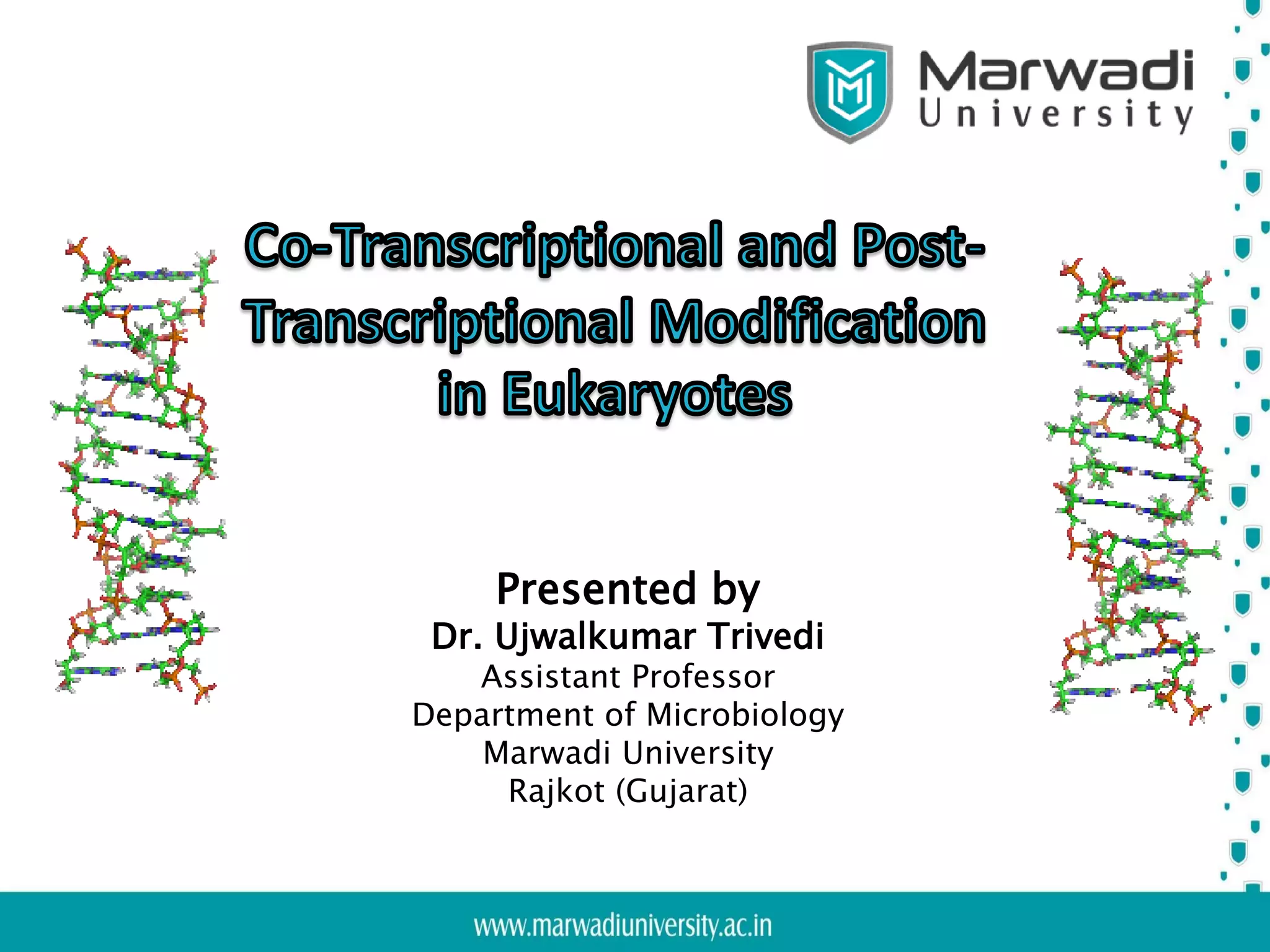 Post-Transcriptional Modification of Eukaryotic mRNA | PDF