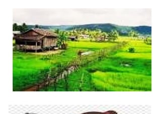 For grade 2 teacher needing CO1-EsP Q1.docx