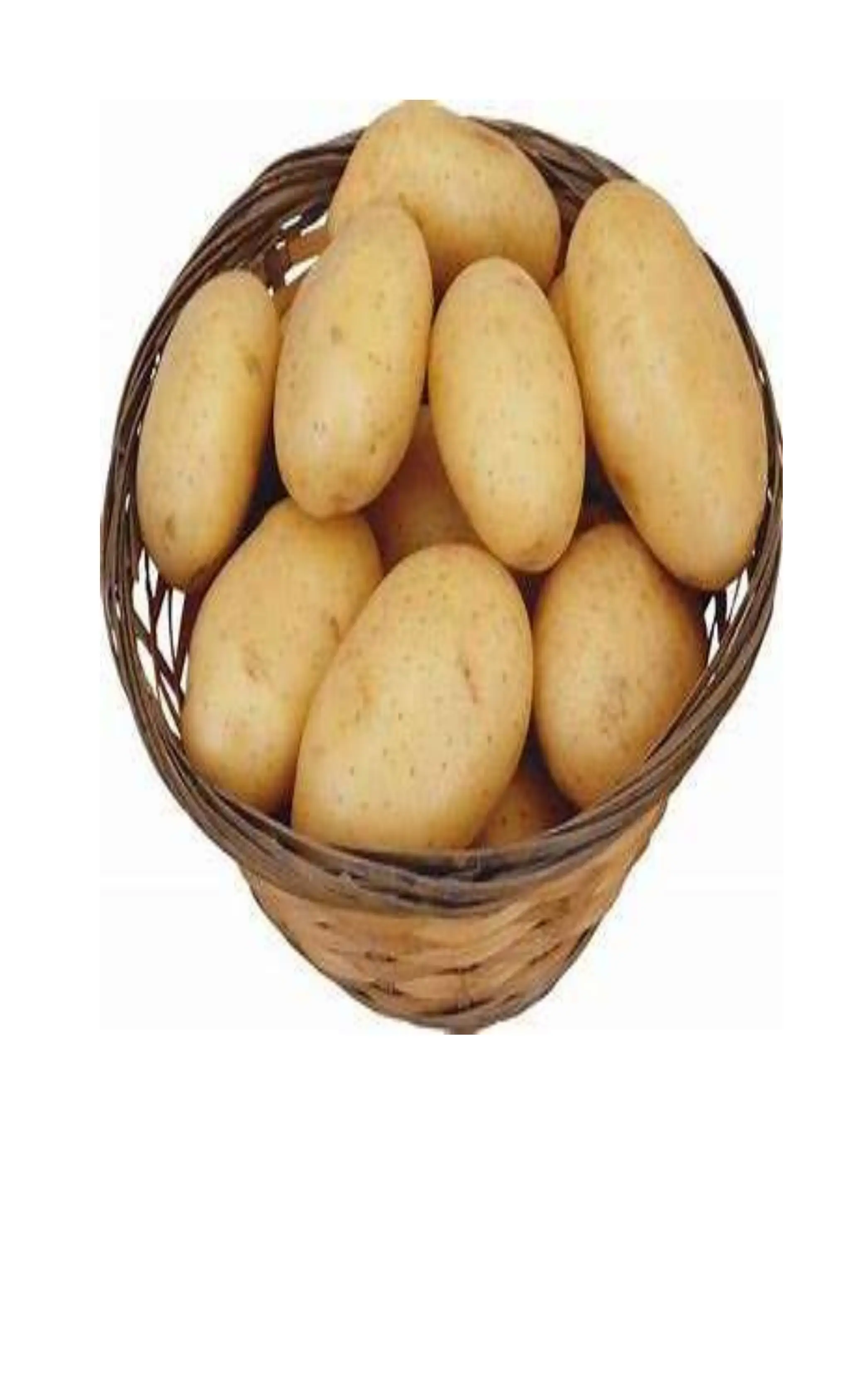 Class observation 1 in mathematics for grade one | PDF