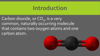 Co2 | PDF