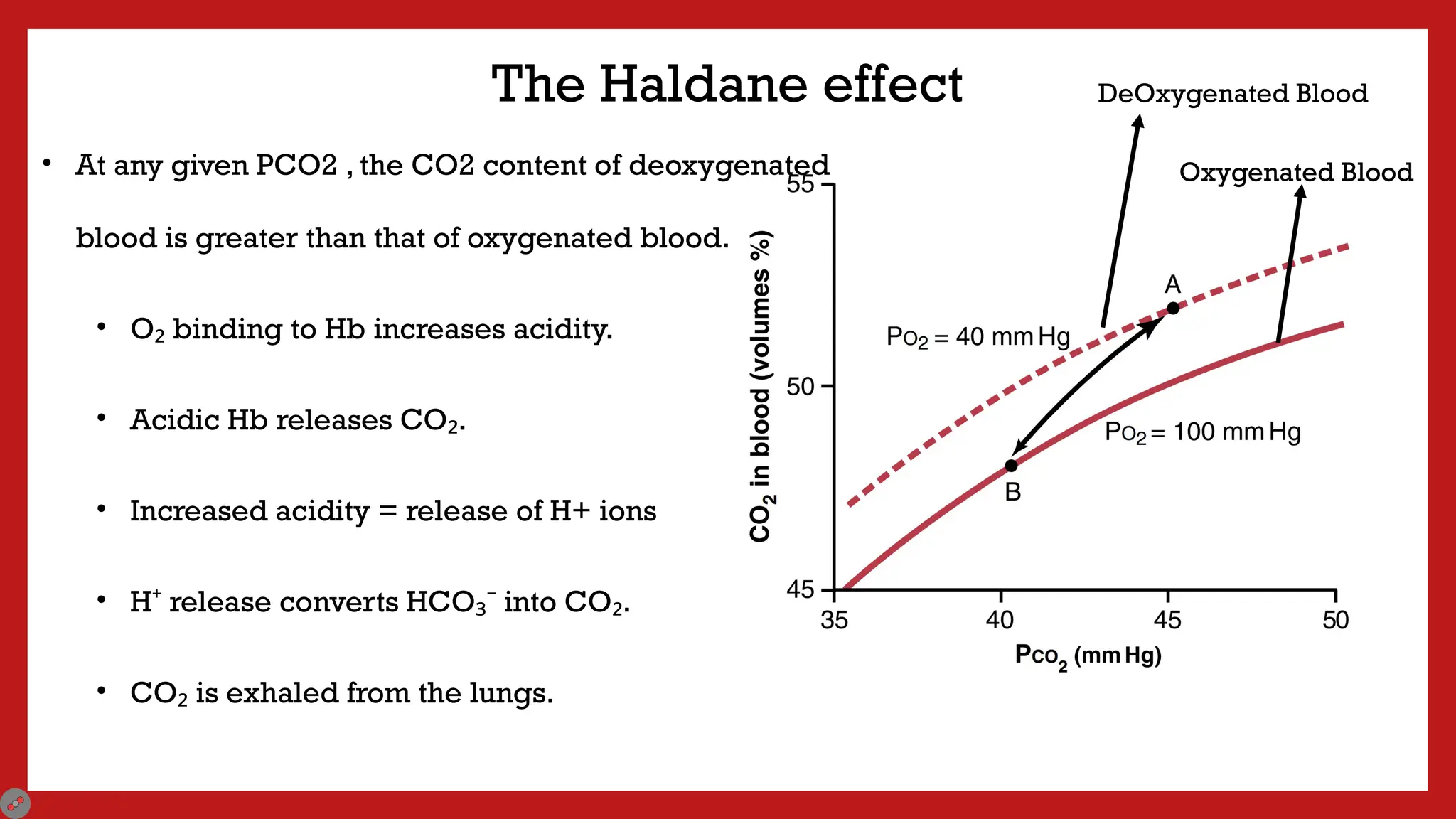Carbon Dioxide (CO2) Transport In Human Body.pptx