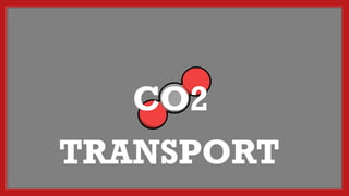 Carbon Dioxide (CO2) Transport In Human Body.pptx