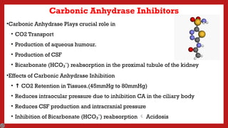 Carbon Dioxide (CO2) Transport In Human Body.pptx