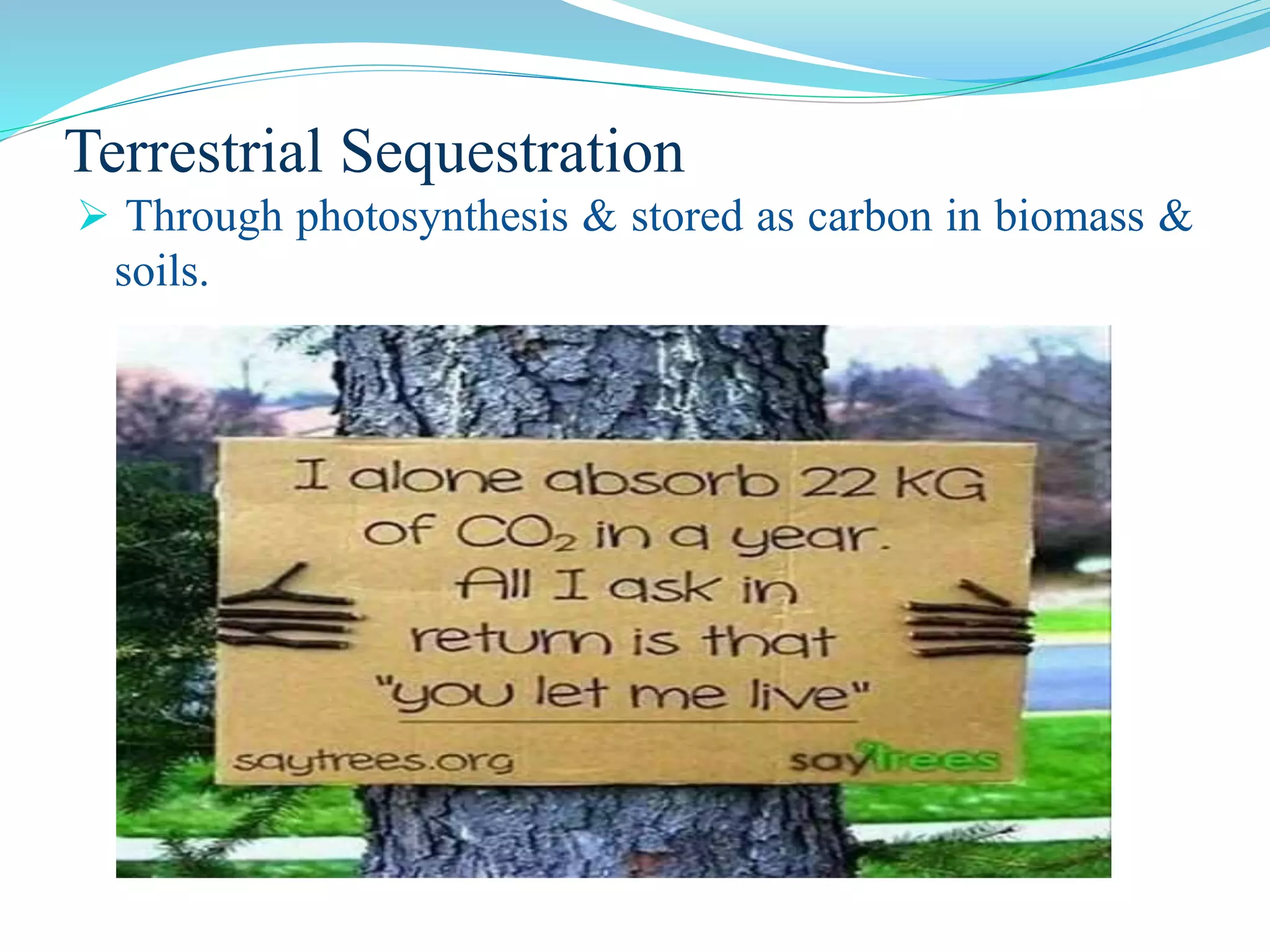 CO2 capturing & sequestration process- CCS | PPTX