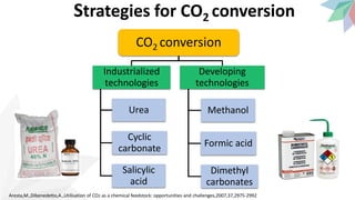 Co2 conversion | PDF