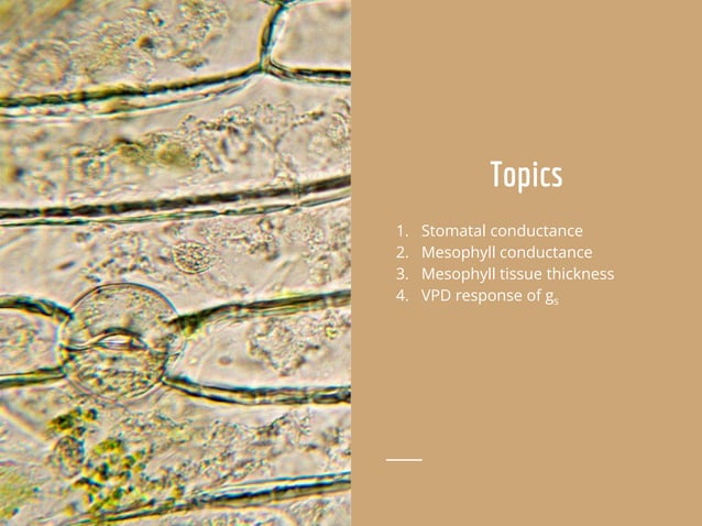 CO2 diffusion & concentration: aspects of stomatal conductance and ...