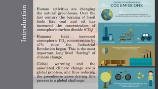 CO2 Emission Reduction Substitution paths, negative co2 emission.pptx ...