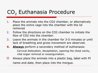Co2 euthanasia procedure | PPT