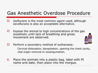 Co2 euthanasia procedure | PPT