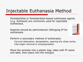 Co2 euthanasia procedure | PPT