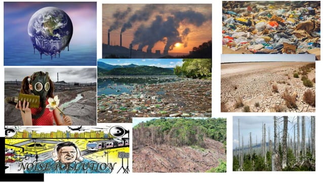 The human person in their environment | PPTX | Environment | Science