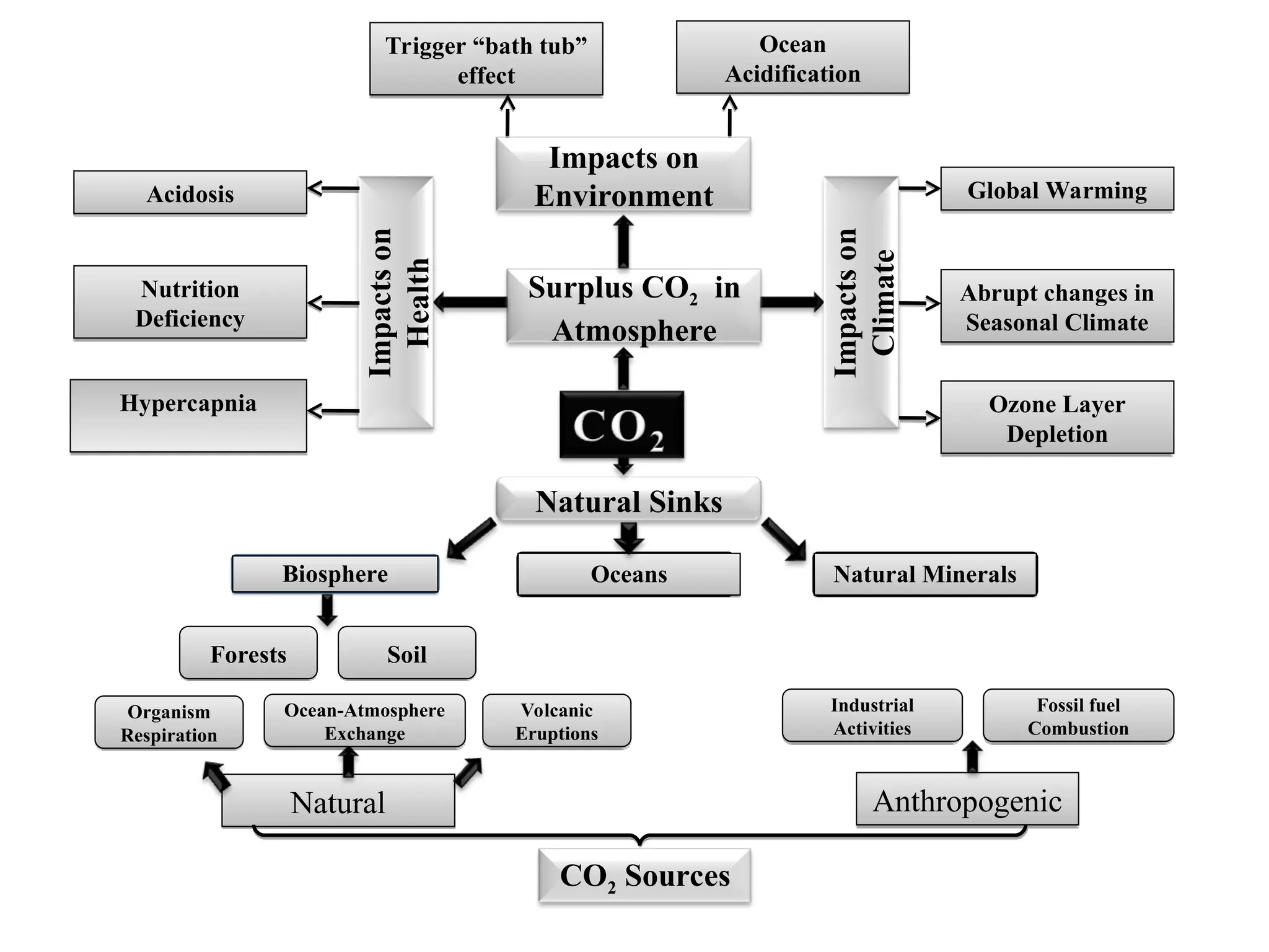 CO2 impacts on environment and atmosphere.ppt