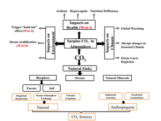 CO2 impacts on environment and atmosphere.ppt