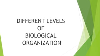 CO 2ND QUARTER POWERPOINT Lesson Proper.pptx