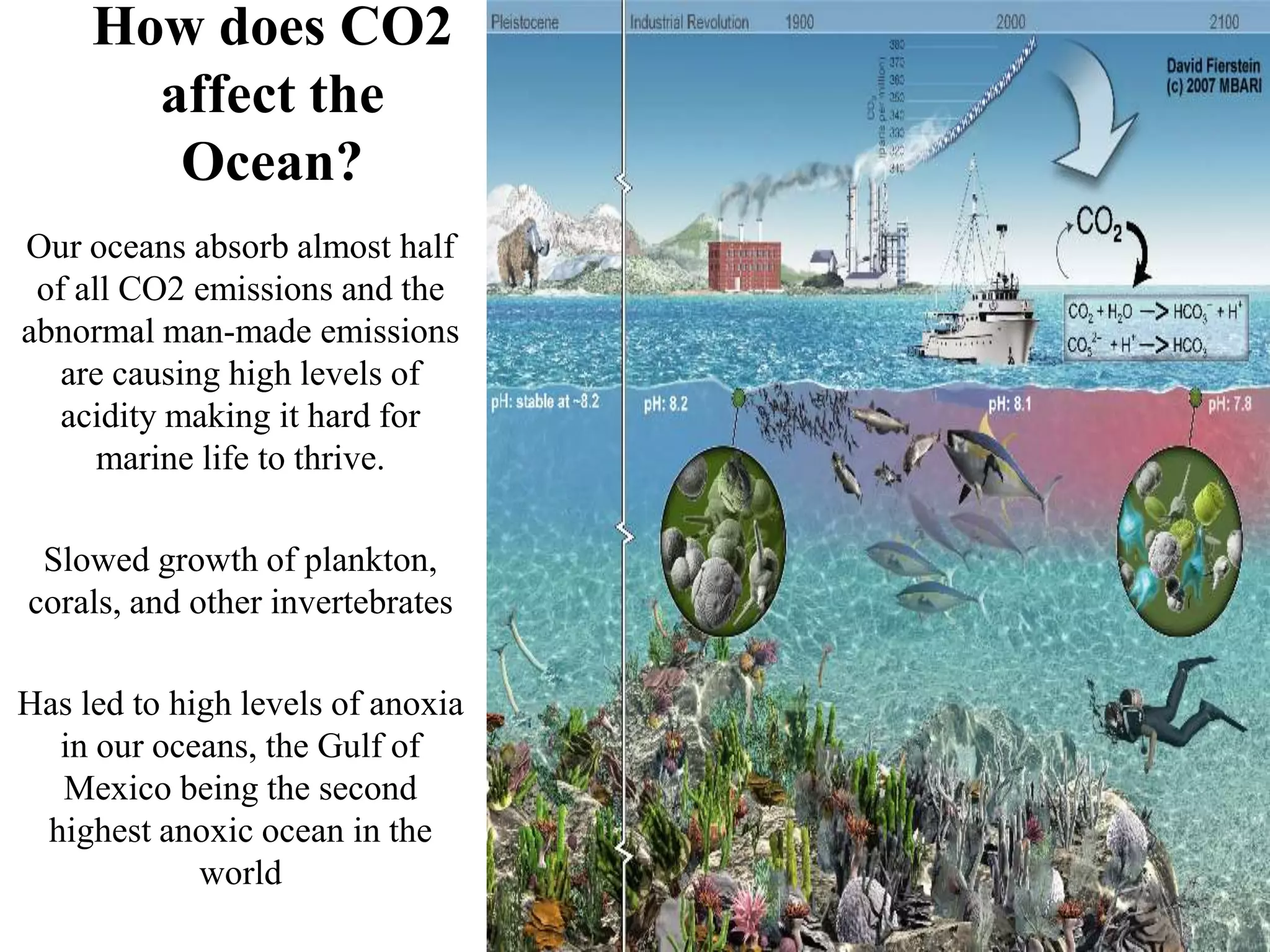 Co2 power point | PPTX