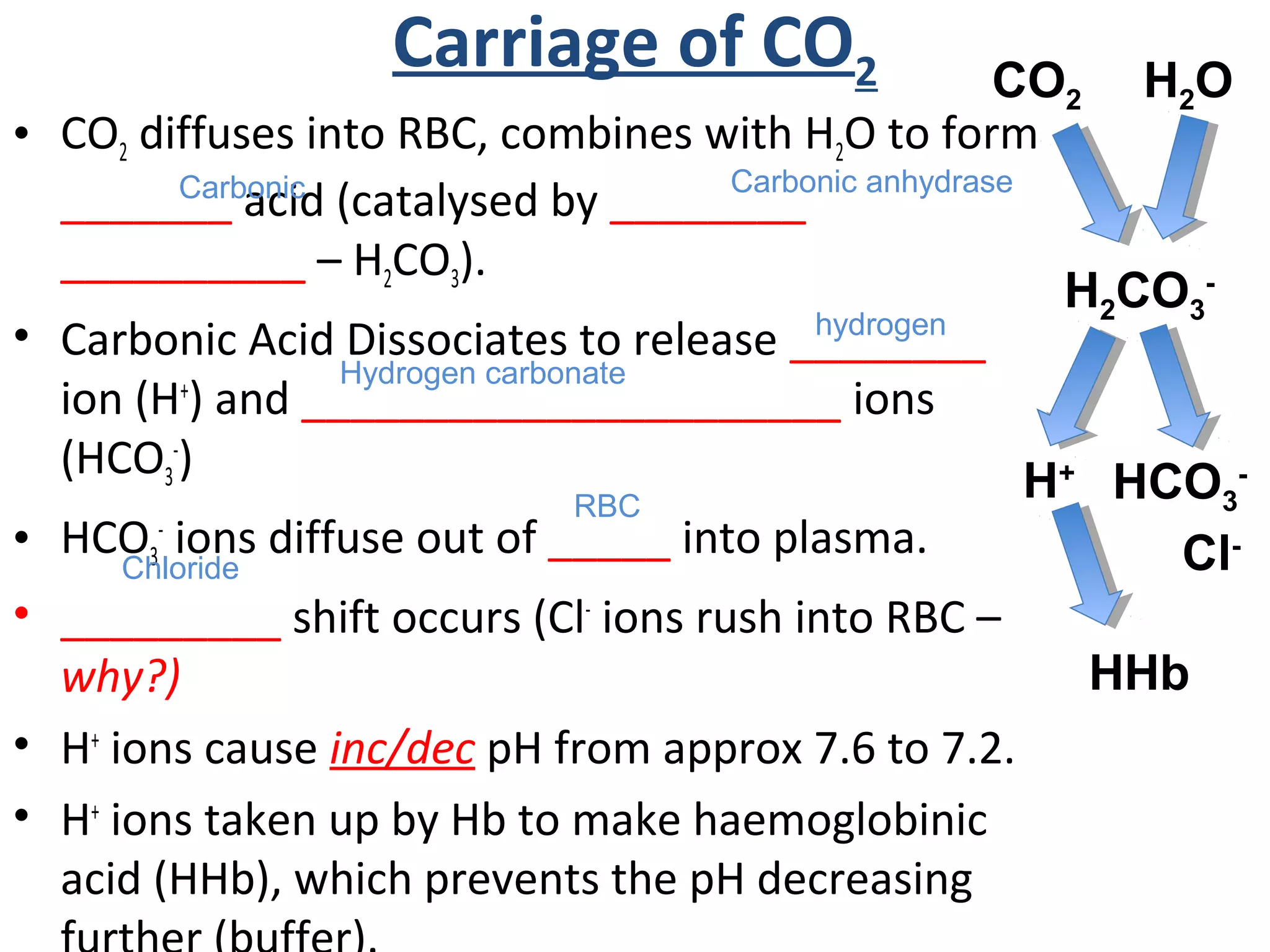 Co2 transport | PPT