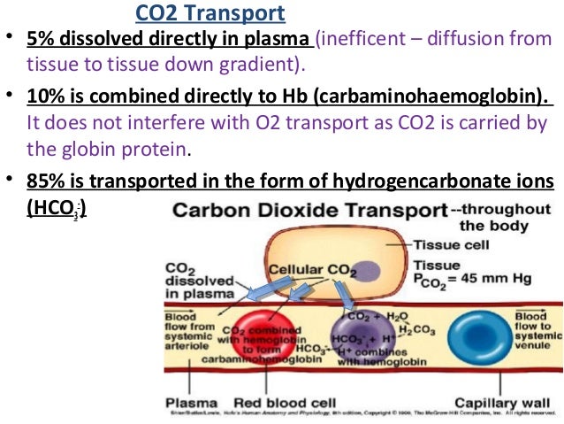 Co2 transport