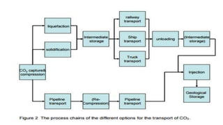 Co 2 transport | PPTX