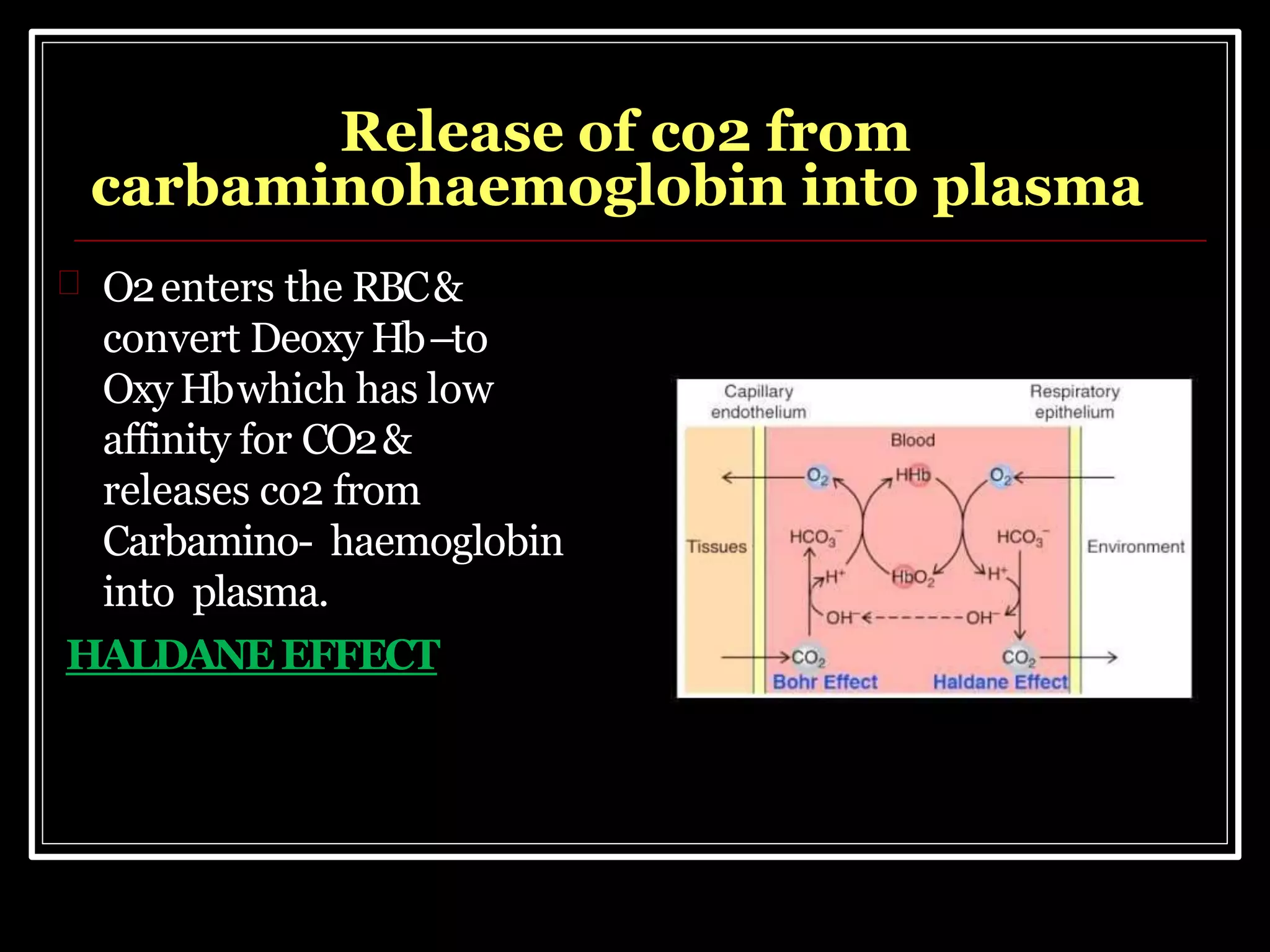 Transport of carbon dioxide | PPTX