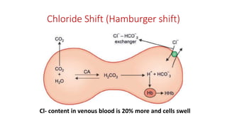 CO2 Transport_Concise.pptx