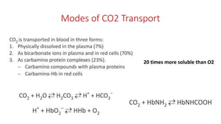 CO2 Transport_Concise.pptx