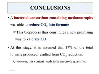 CO2 valorization by Biniam Belete | PDF