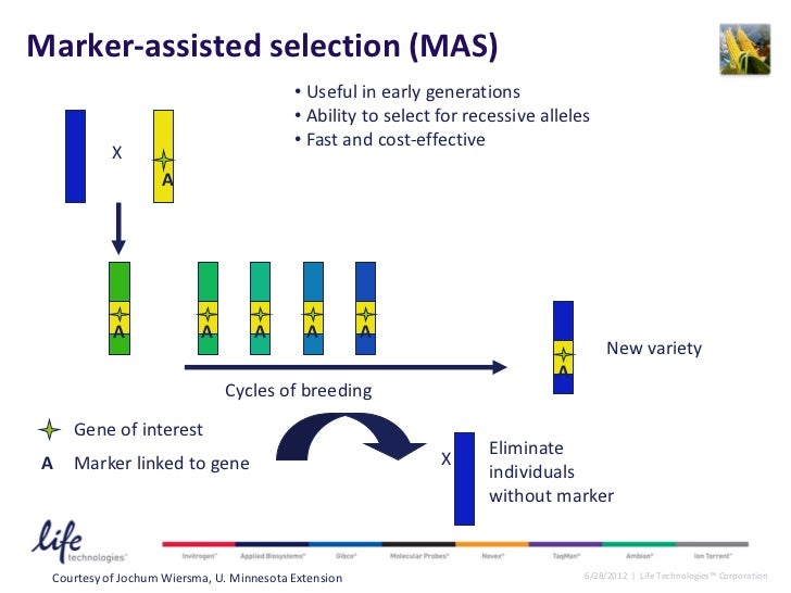 Genetic Analysis Solutions for Plant Sciences